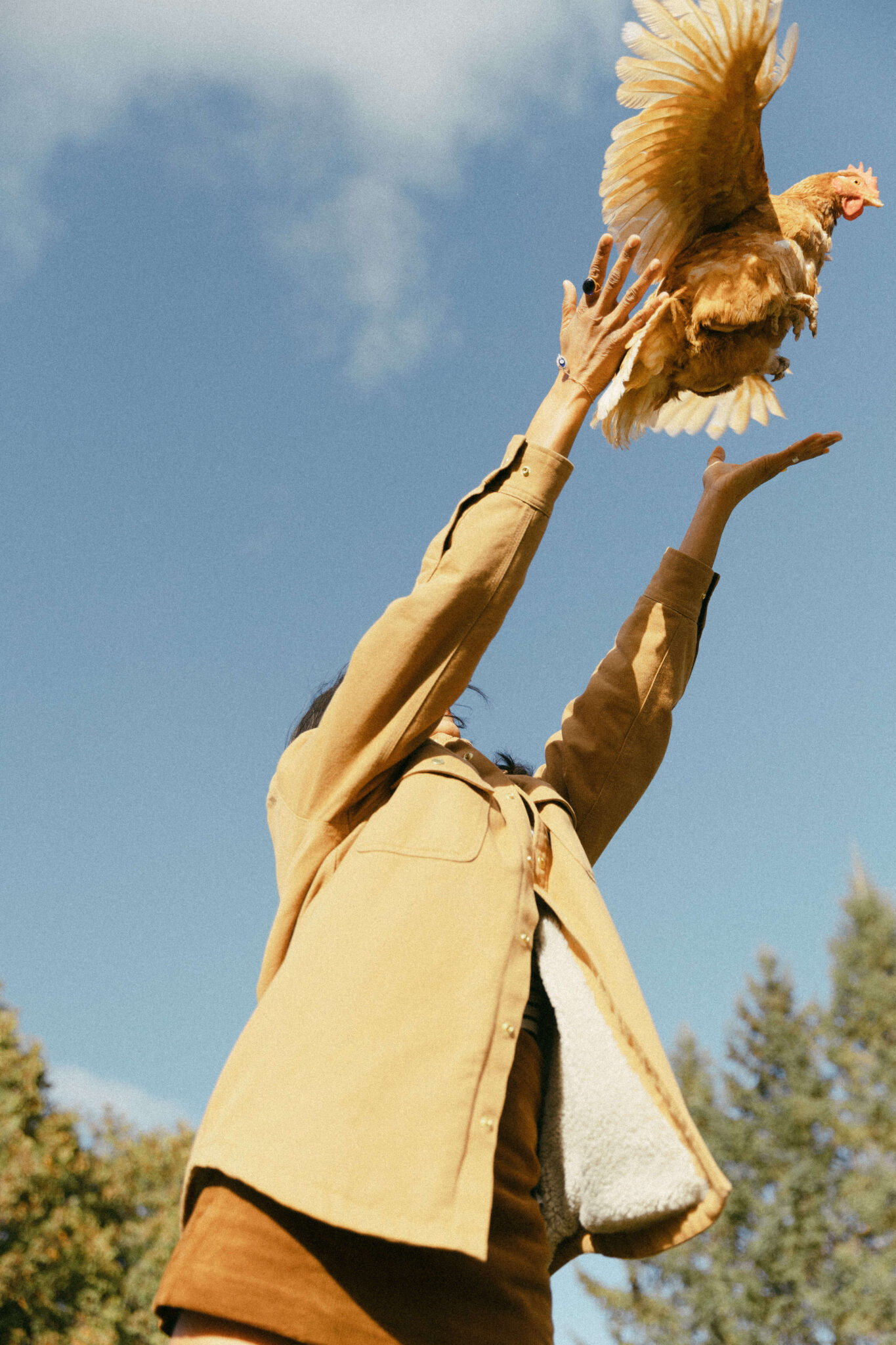 Personal Brand Shoot Inspiration Session 1 – Third Line Apothecary ...